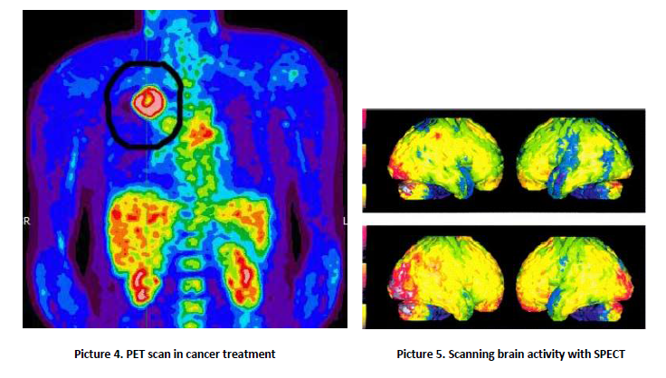 Department of Biomedical Engineering